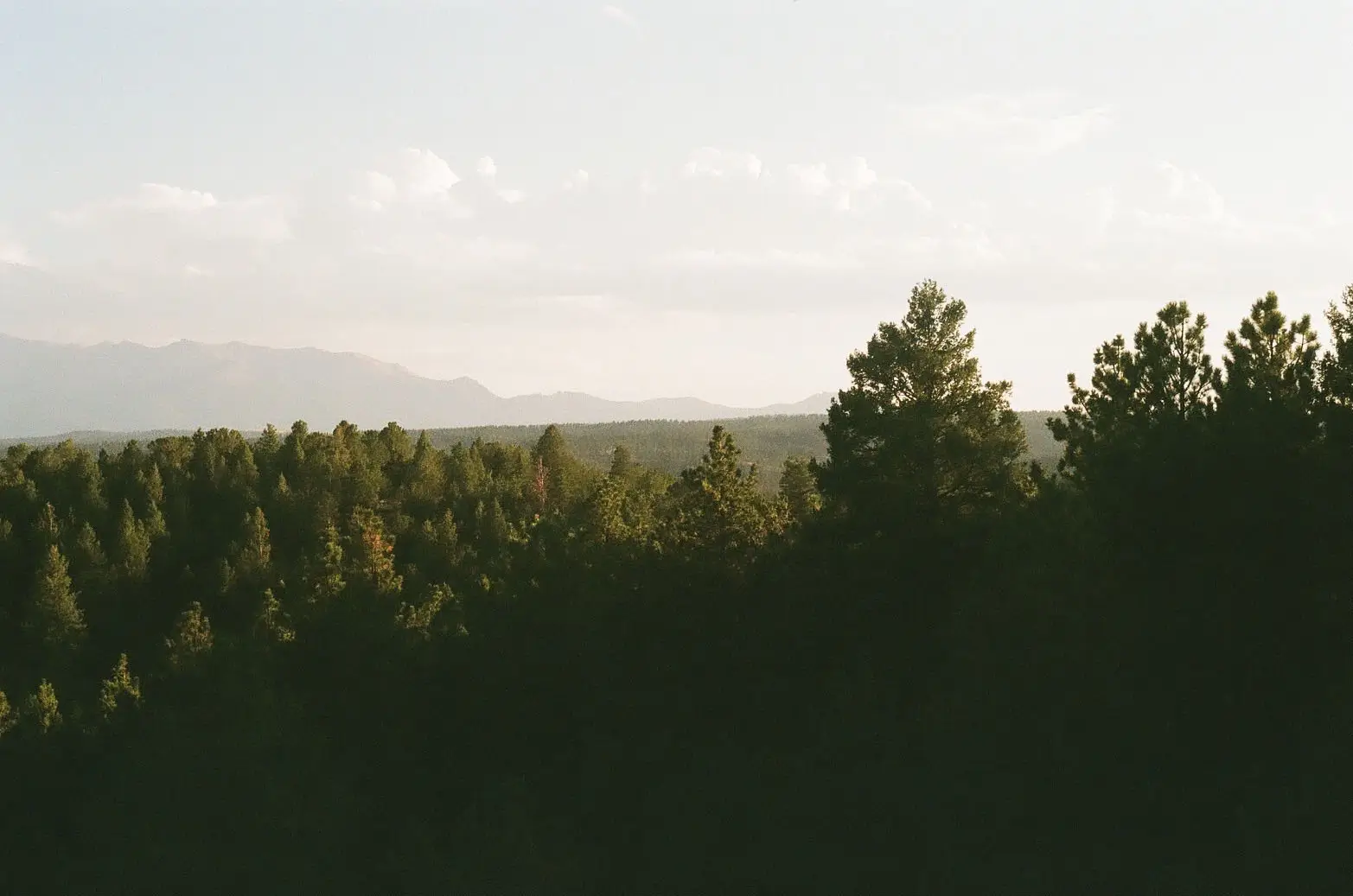 Turning Point Counseling | Des Moines, Iowa